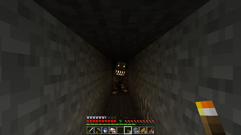 CAVE DWELLER Add-On (Official) | Addon | Bedrock Universe