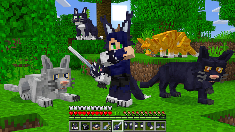 Fur Craft Add-On | Addon | Bedrock Universe